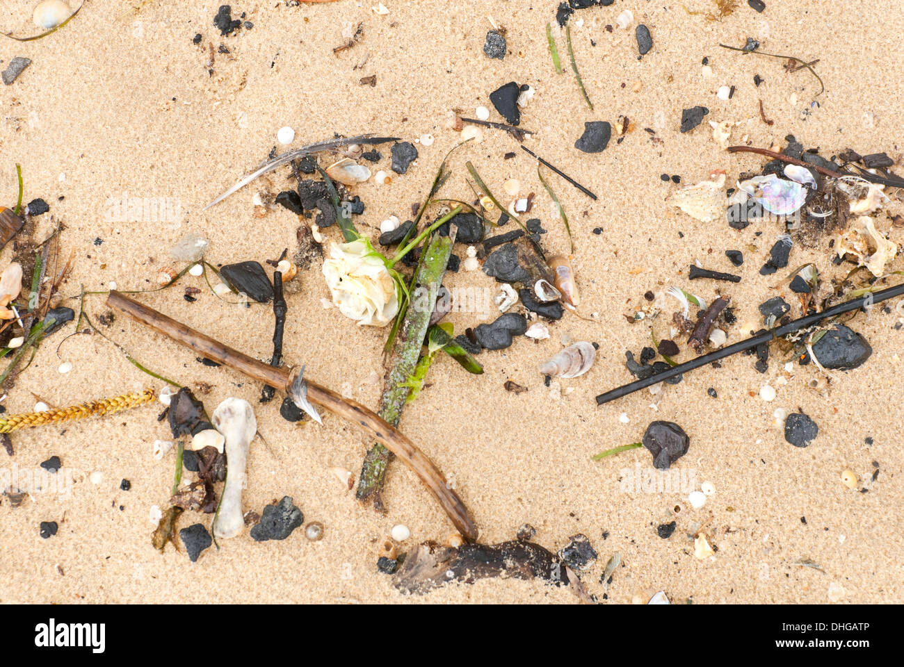 Debris washed up on an Australian beach after a storm Stock Photo - Alamy