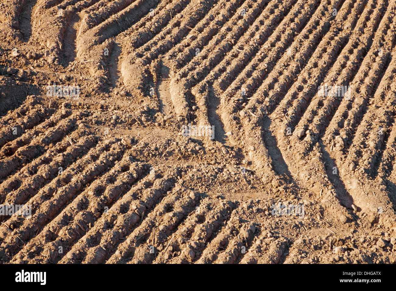 track of tractor on the field Stock Photo - Alamy