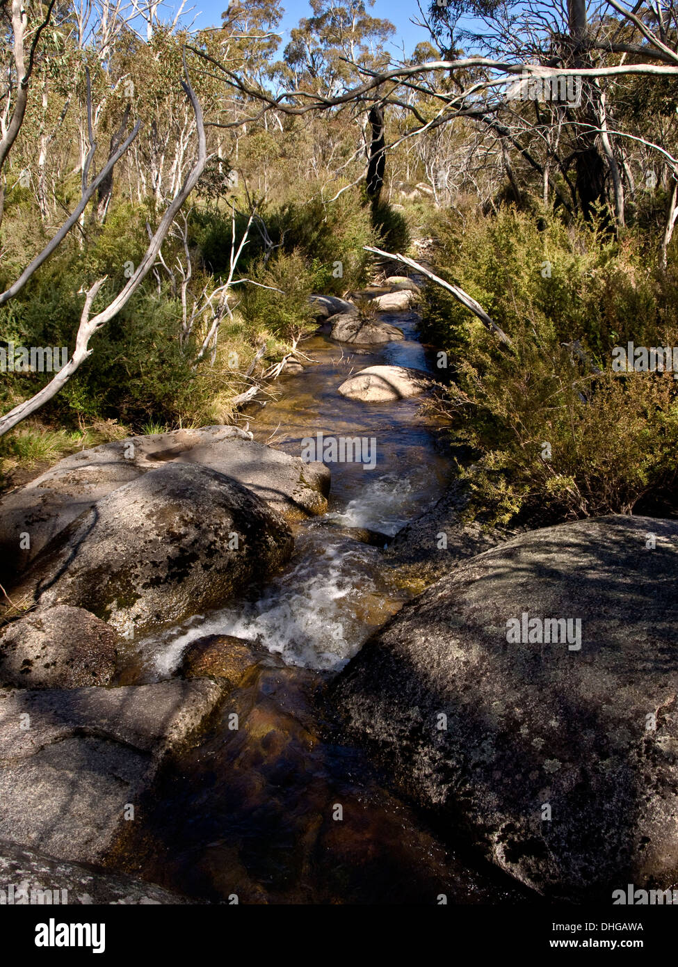 Snowy mountains bush nsw australia hi-res stock photography and images ...