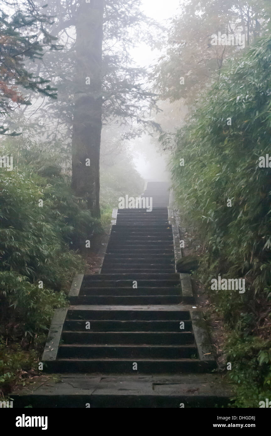 Buddhist pilgrimage route hi-res stock photography and images - Alamy