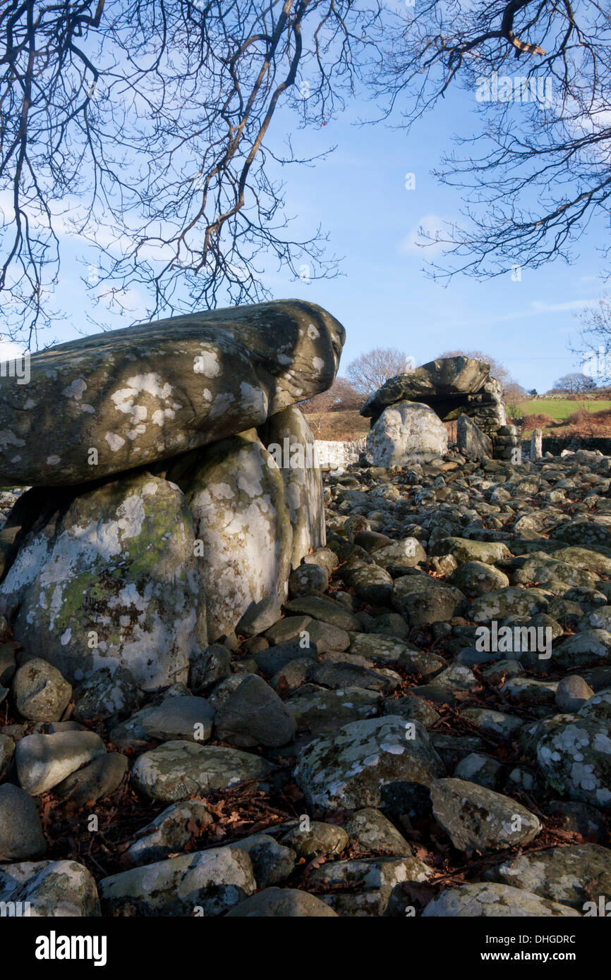 Dyffryn Ardudwy Neolithic burial chambers Gwynedd North Wales UK Stock ...