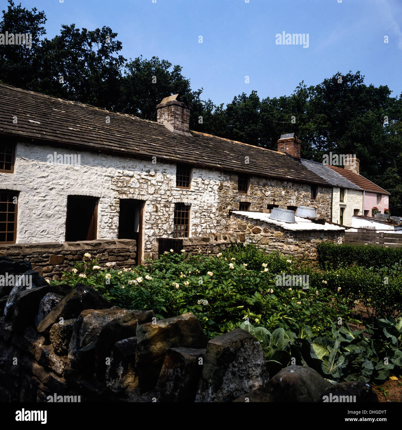 Are Dogs Allowed In St Fagans Museum