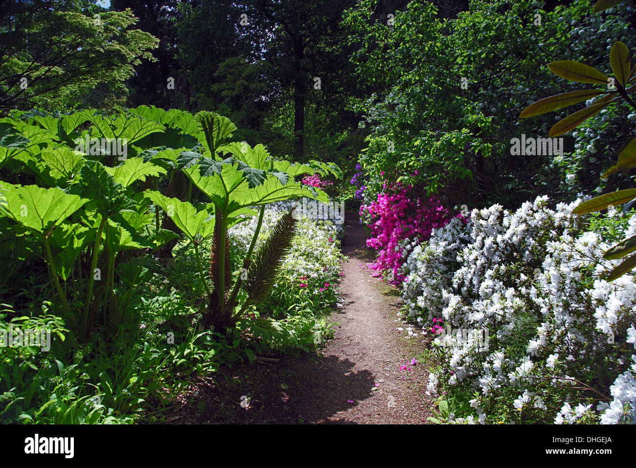 Minterne house hi-res stock photography and images - Alamy