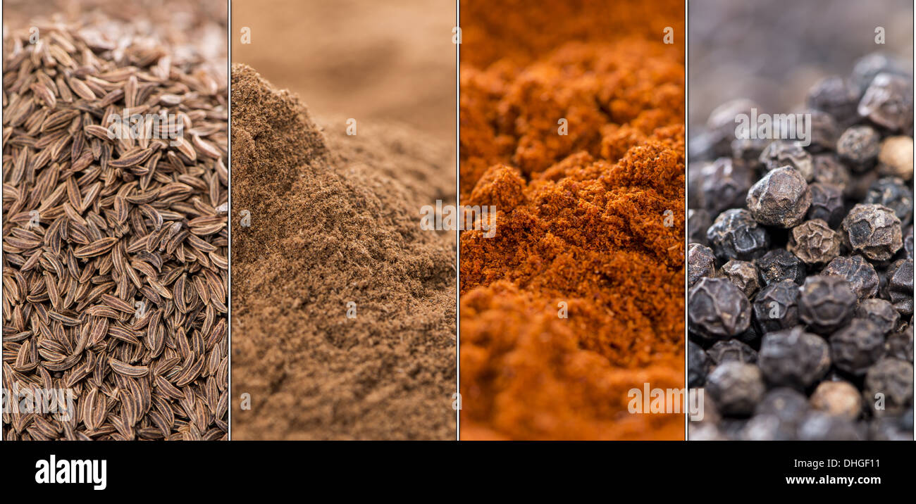Collage of different spices (Caraway, Cinnamon, Paprika Powder and ...