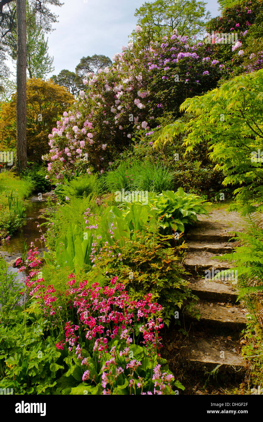 The woodland gardens surrounding Minterne House in Dorset, England, UK ...
