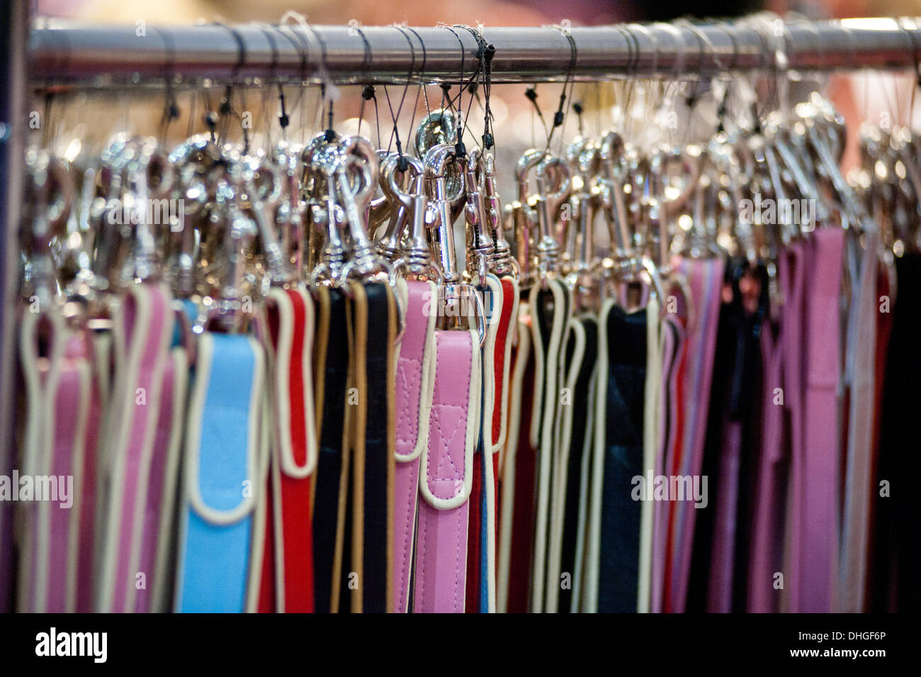 Discover dogs show hi-res stock photography and images - Alamy