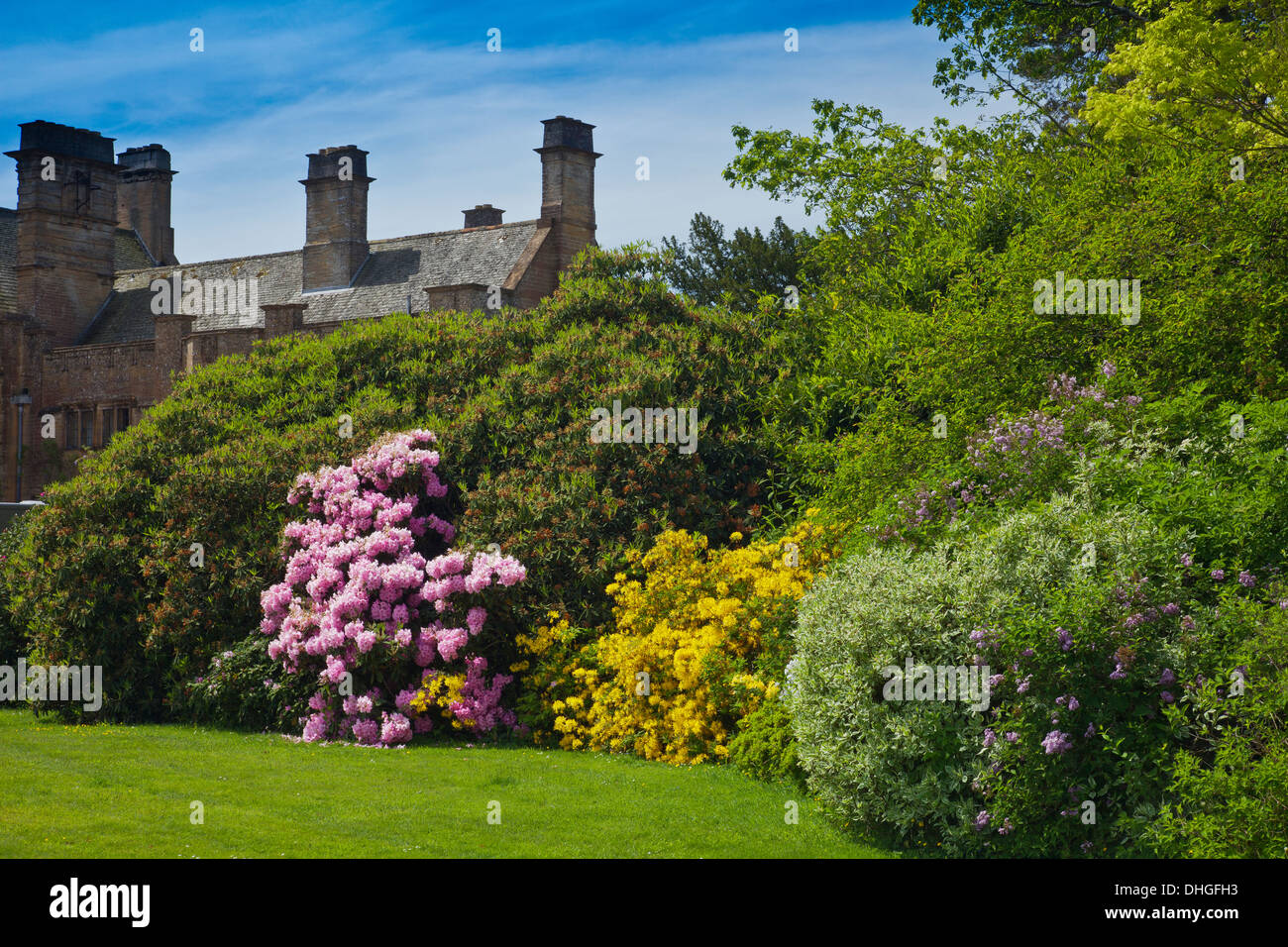 The gardens surrounding Minterne House in Dorset, England, UK Stock ...
