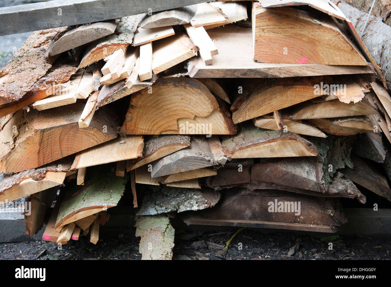 New trunks hi-res stock photography and images - Alamy
