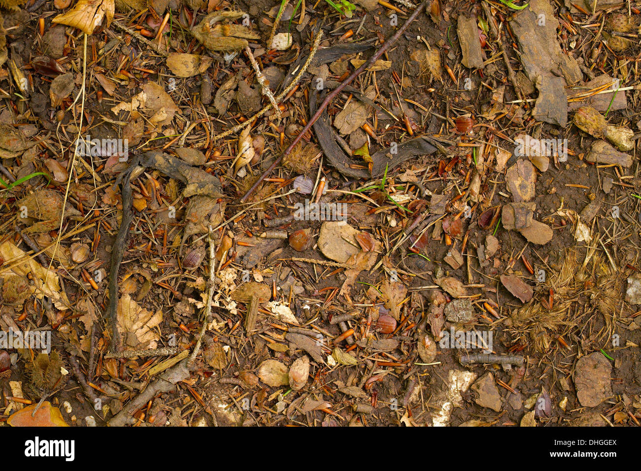 Dirt floor texture hi-res stock photography and images - Alamy