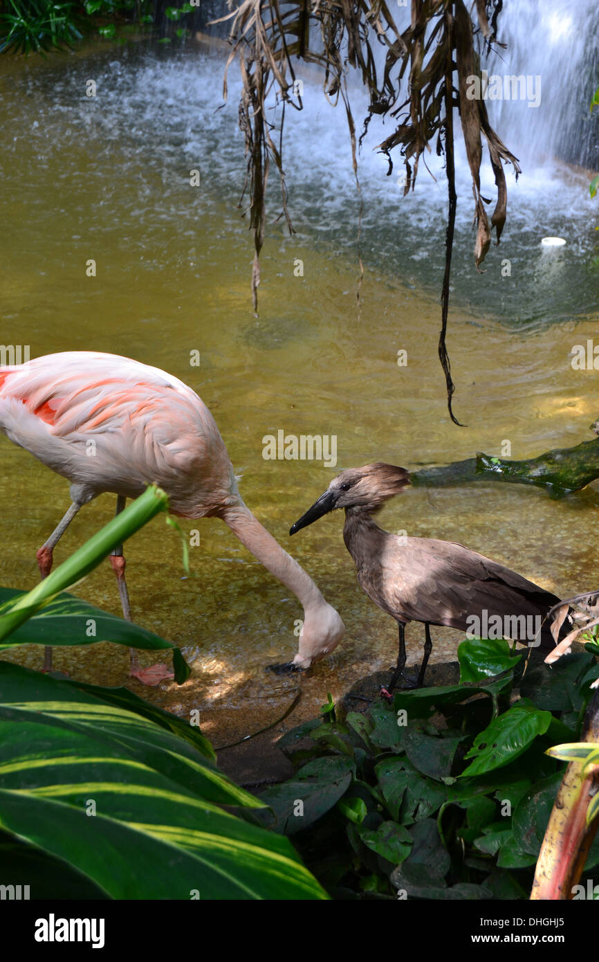 Watch and Learn Stock Photo - Alamy