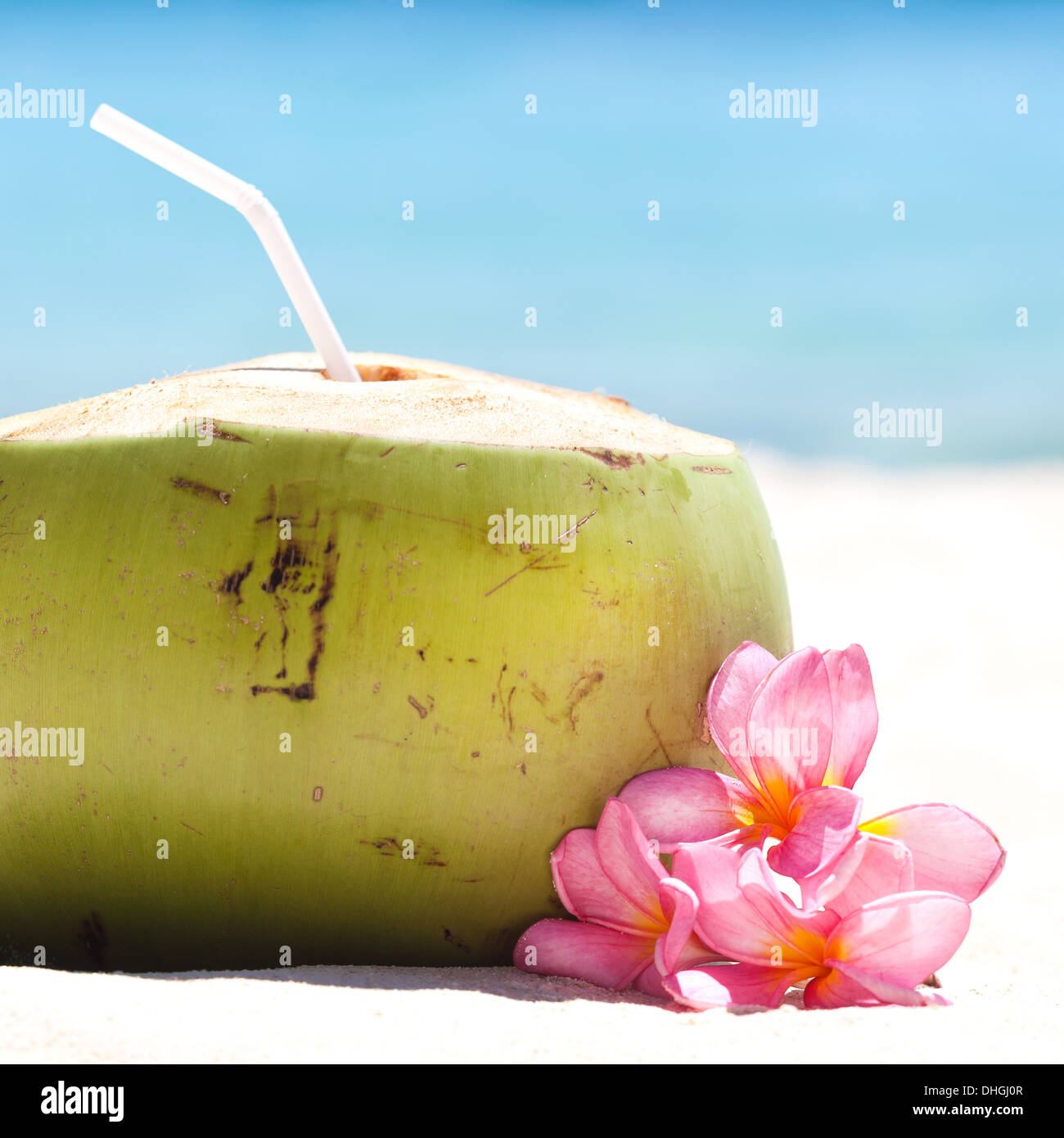 Tropical fresh coconut cocktail decorated plumeria on white beach Stock ...