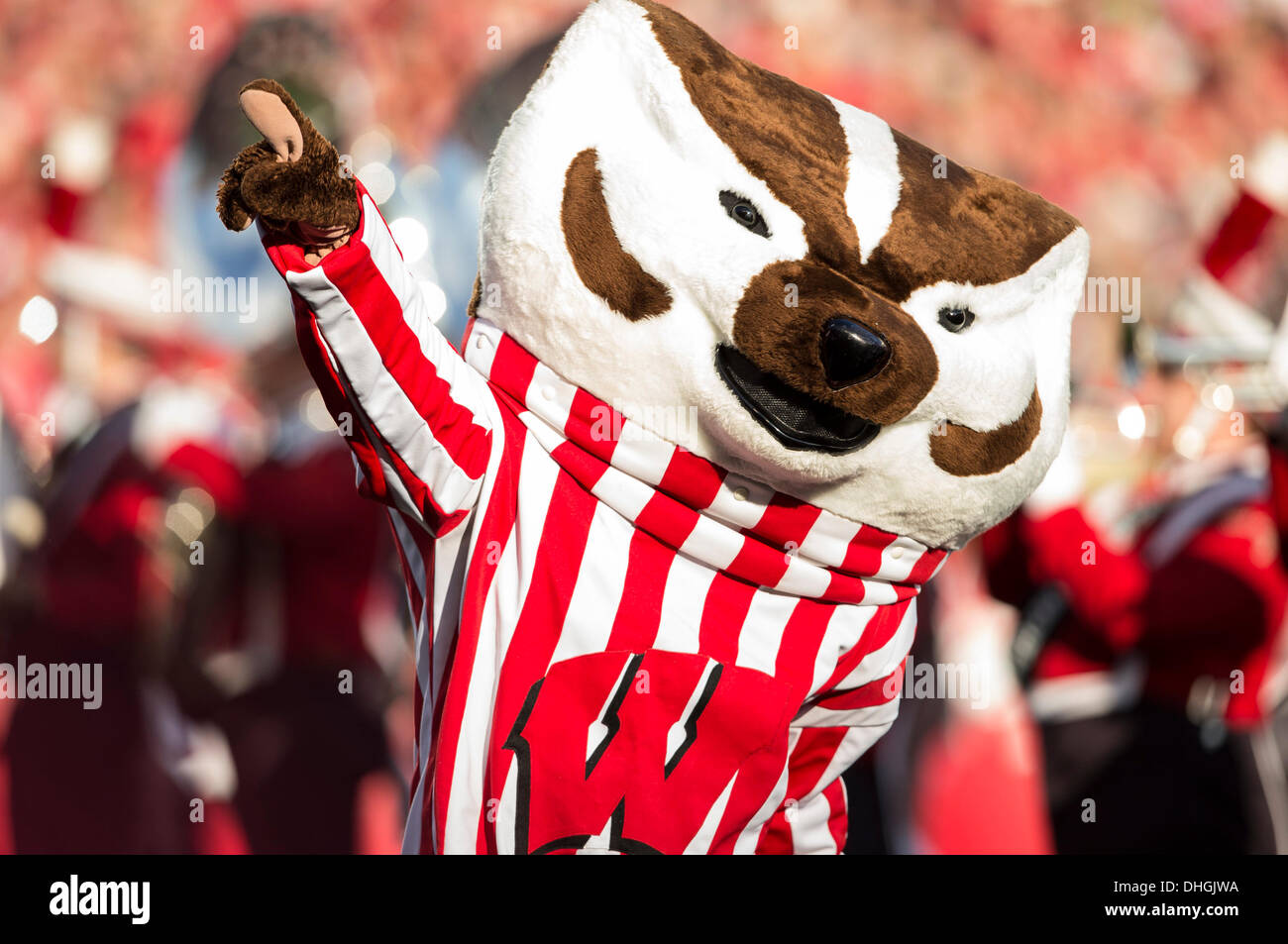 Bucky badger hi-res stock photography and images - Alamy