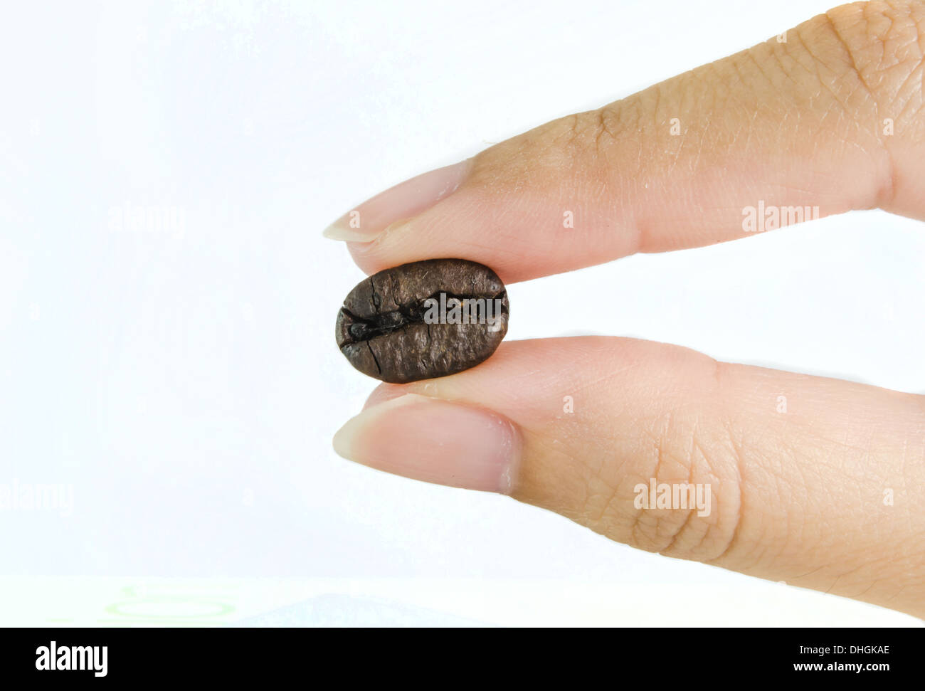 One arabica coffee bean hi-res stock photography and images - Alamy