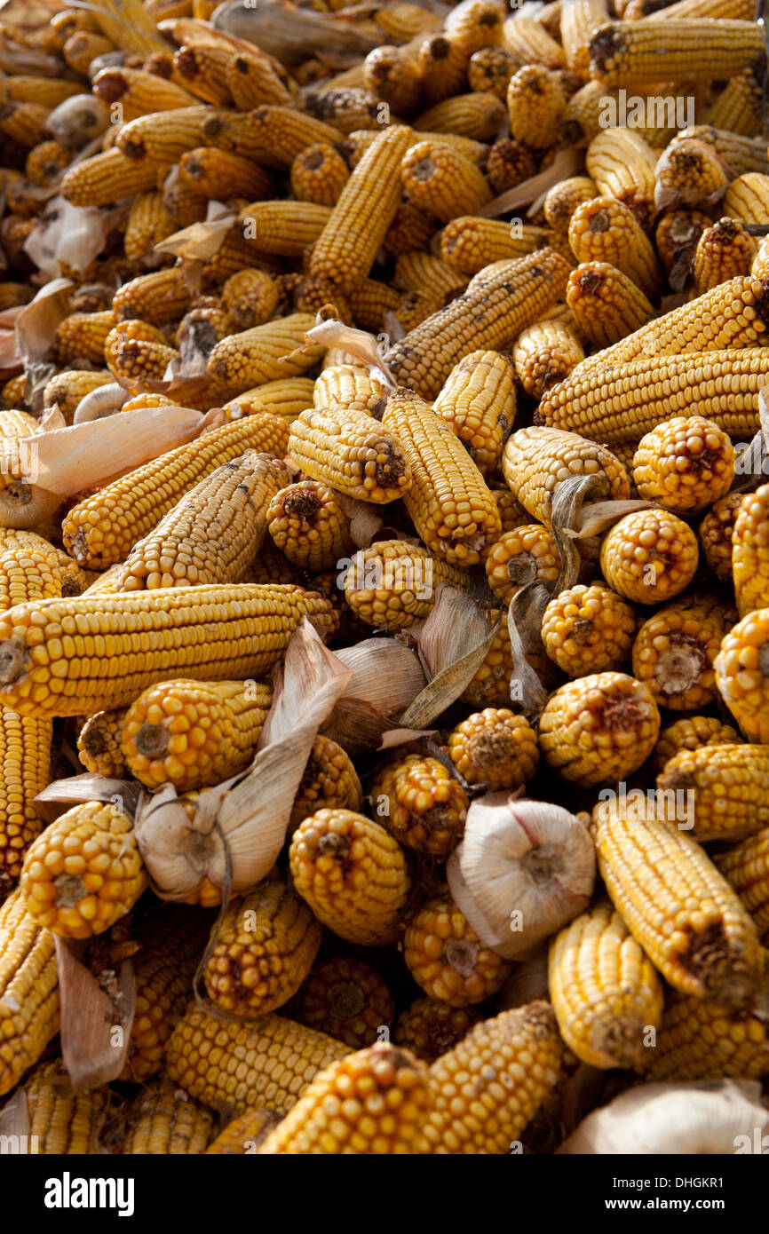 Maze crop hi-res stock photography and images - Alamy