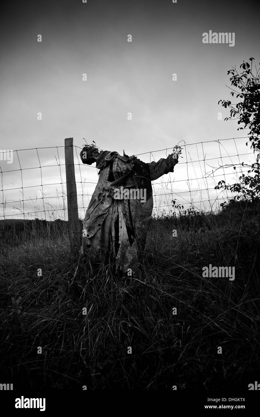 Scare birds hi-res stock photography and images - Alamy