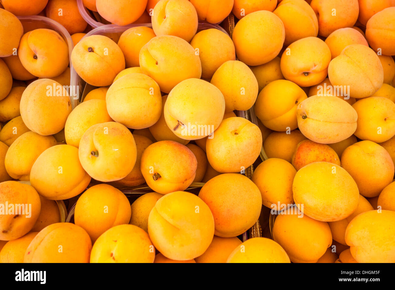 Apricot texture hi-res stock photography and images - Alamy