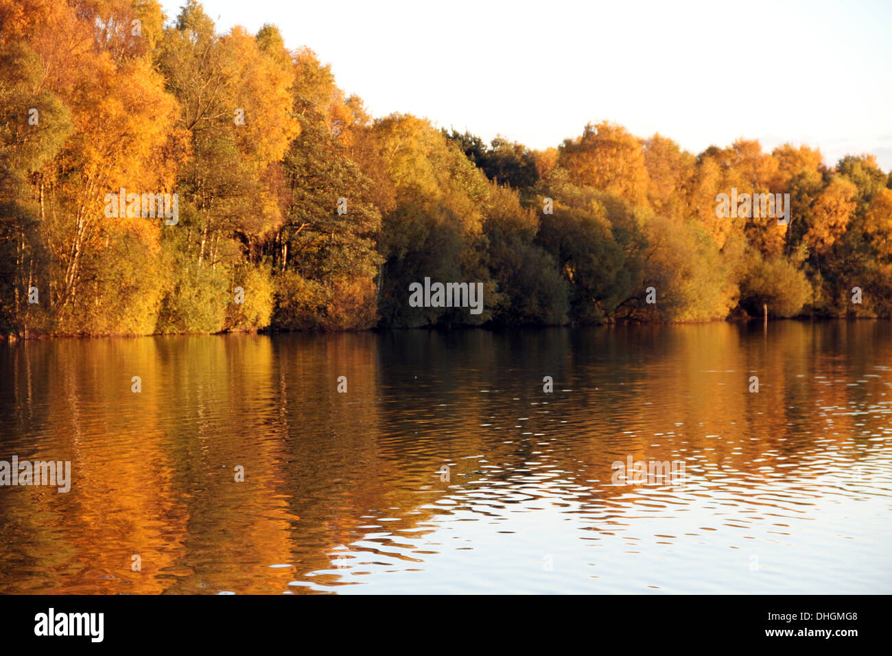 Autumn colors Shakerley Mere Stock Photo - Alamy