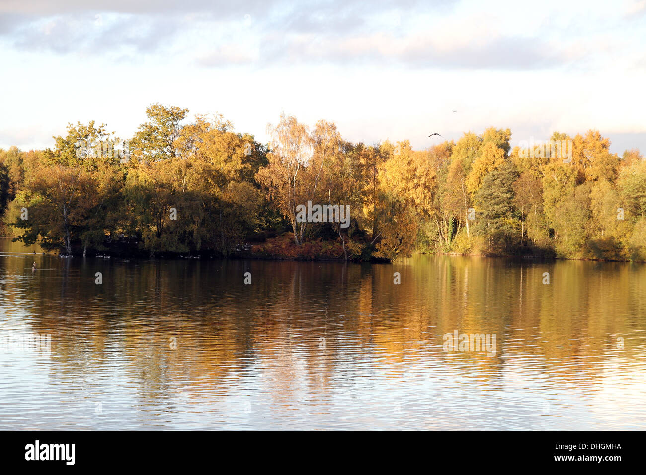 Autumn colors Shakerley Mere Stock Photo - Alamy