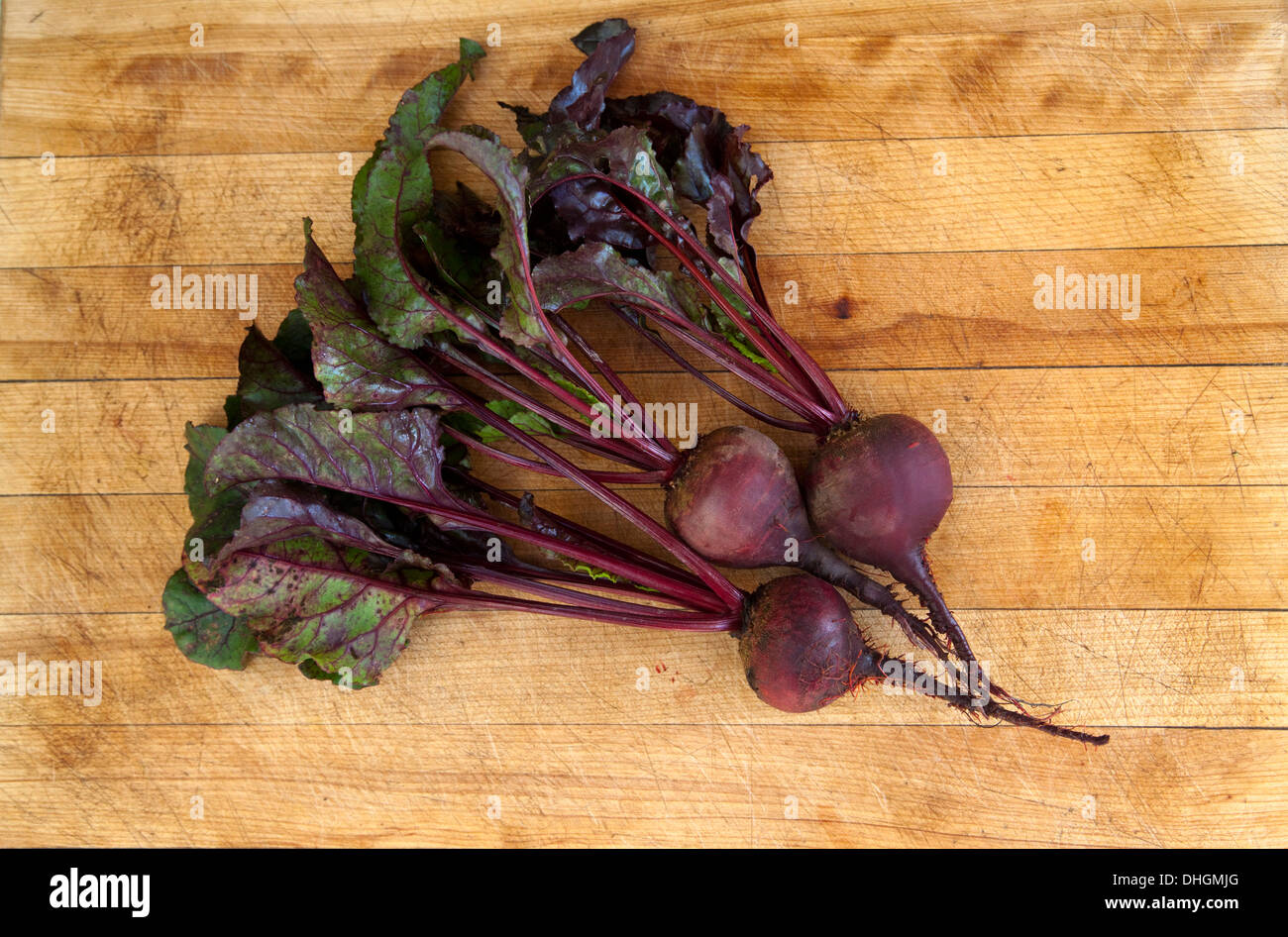 Common beetroot hi-res stock photography and images - Alamy