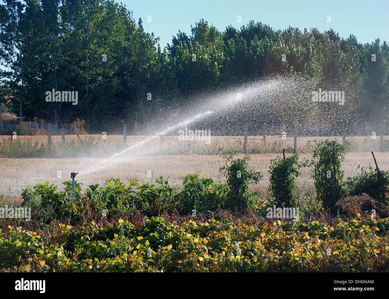 Vintage irrigation hi-res stock photography and images - Alamy