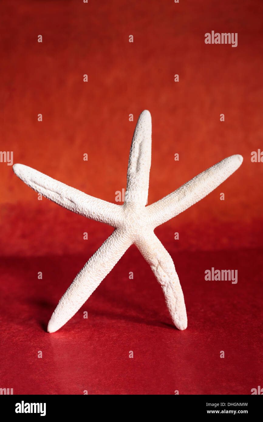 Simple star shape hi-res stock photography and images - Alamy