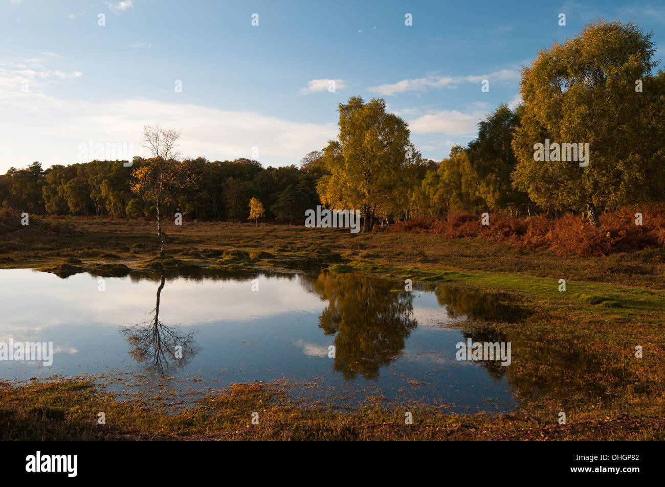 Shatterford hi-res stock photography and images - Alamy