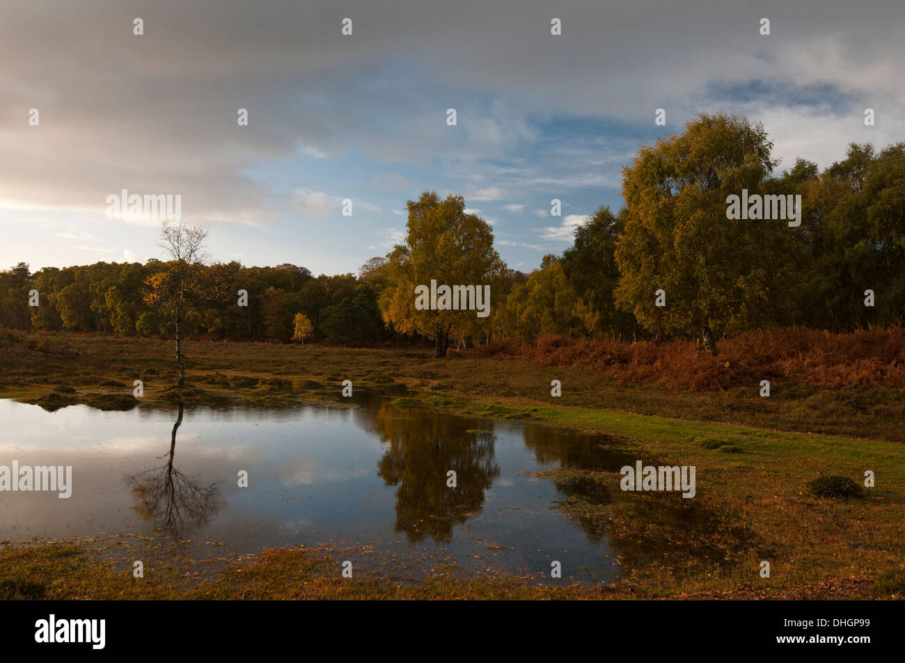 Shatterford hi-res stock photography and images - Alamy