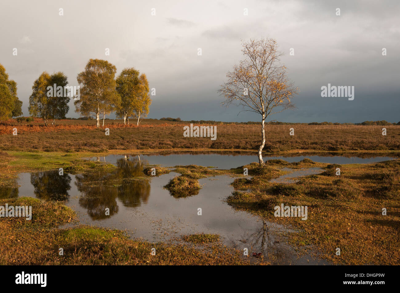 Shatterford bottom hi-res stock photography and images - Alamy