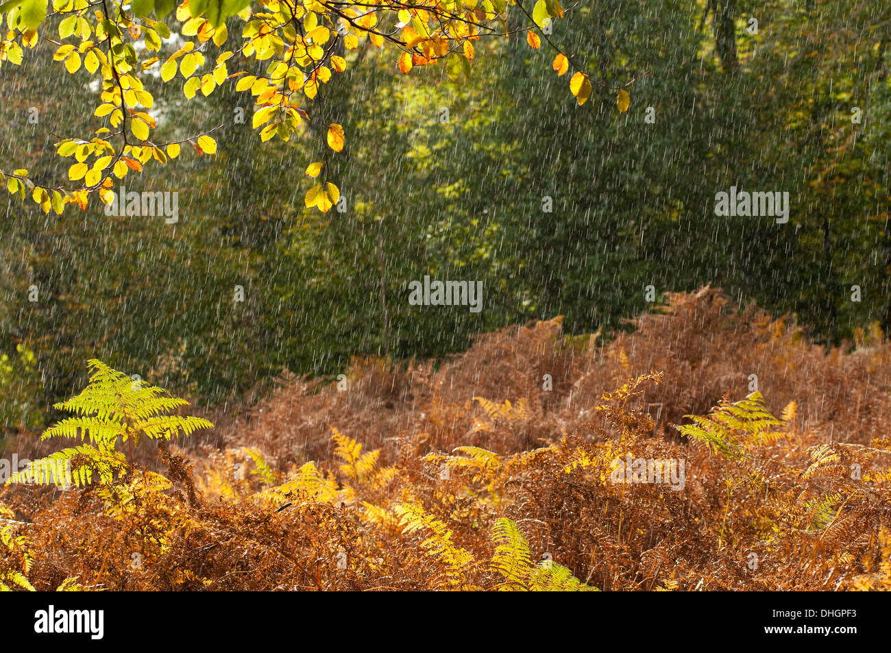 Sunshine and rain hi-res stock photography and images - Alamy