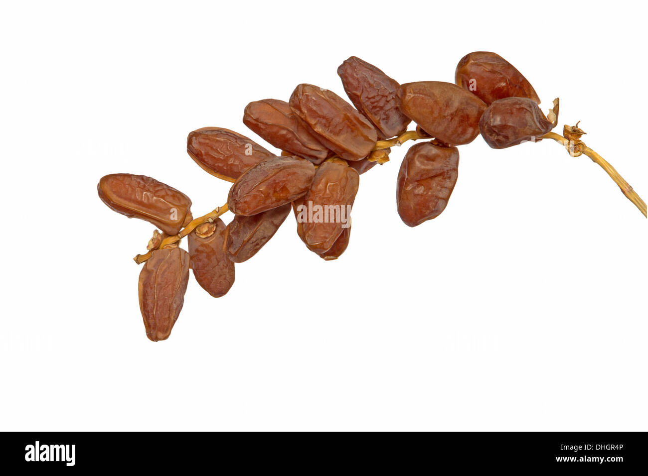 Dates on a branch isolated on white background Stock Photo - Alamy