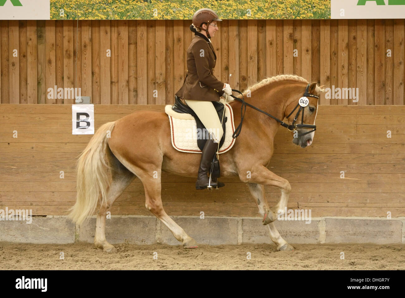 Dressage Horse Cantering