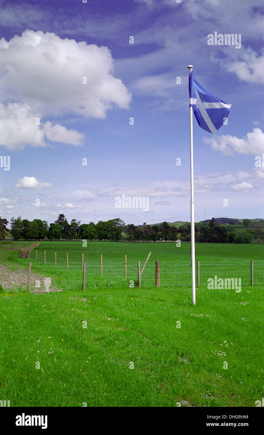 Saltire or St Andrews Cross, Scottish National Flag Flying at ...