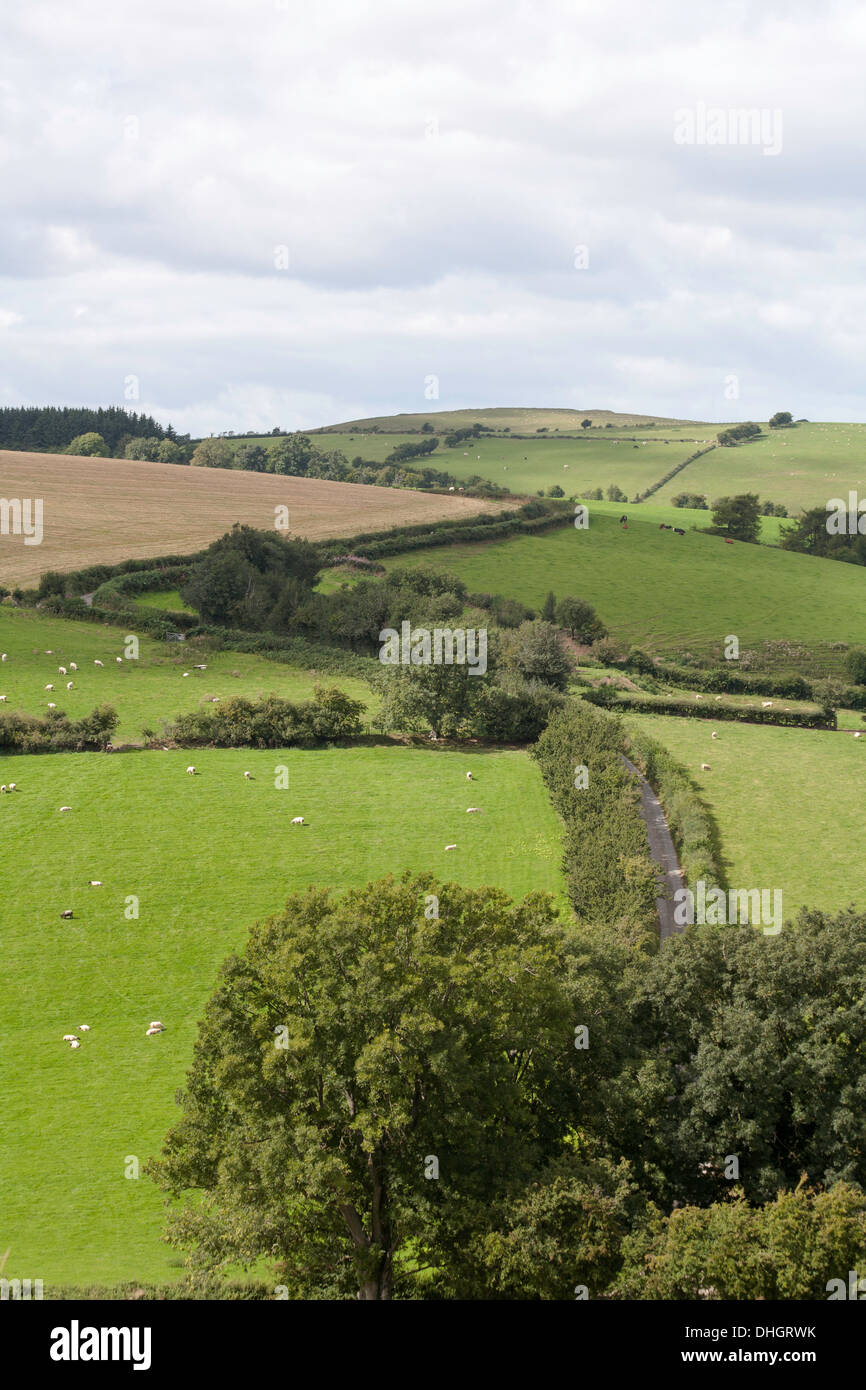 Newcastle clun forest hi-res stock photography and images - Alamy