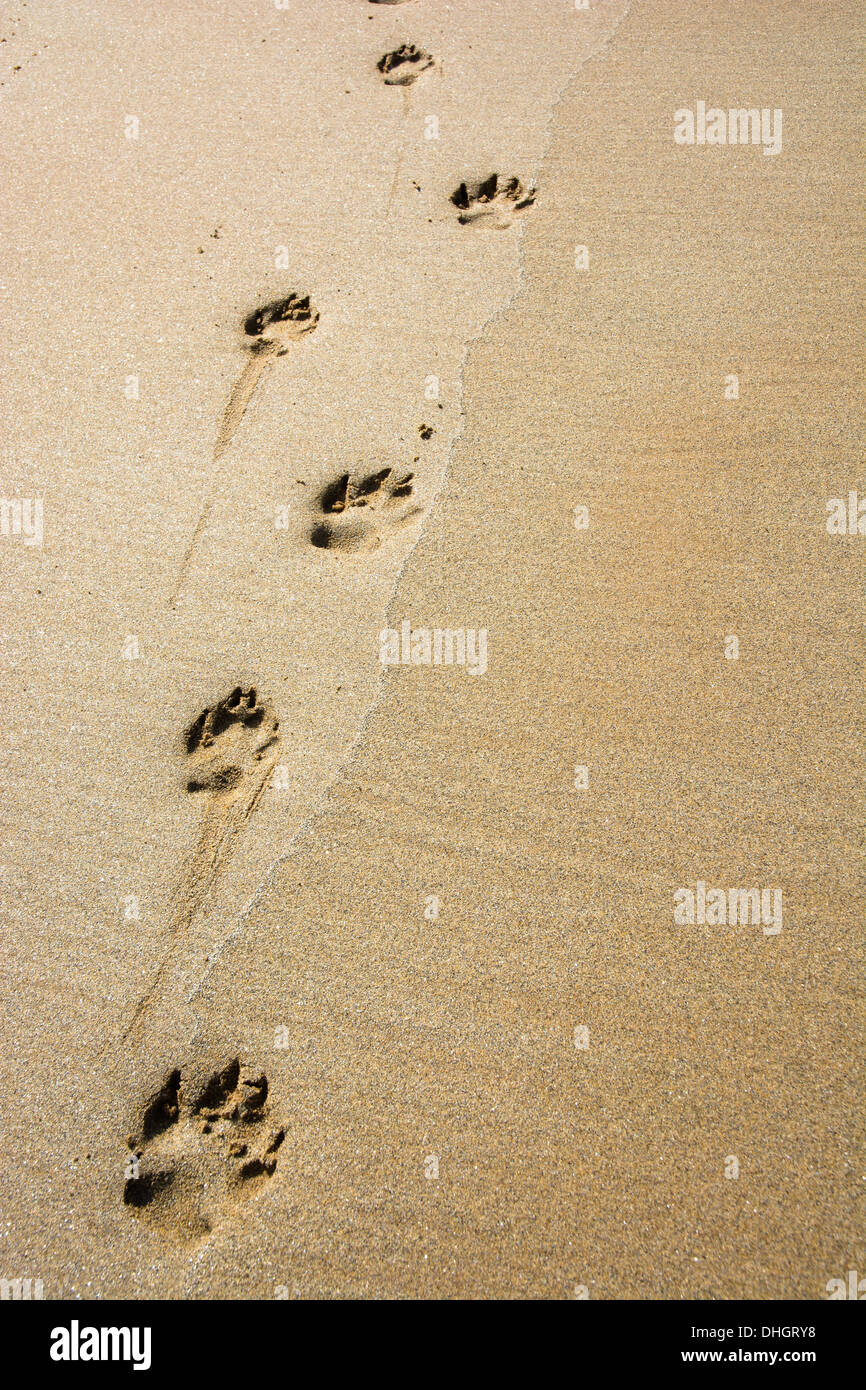 Memory trail hi-res stock photography and images - Alamy