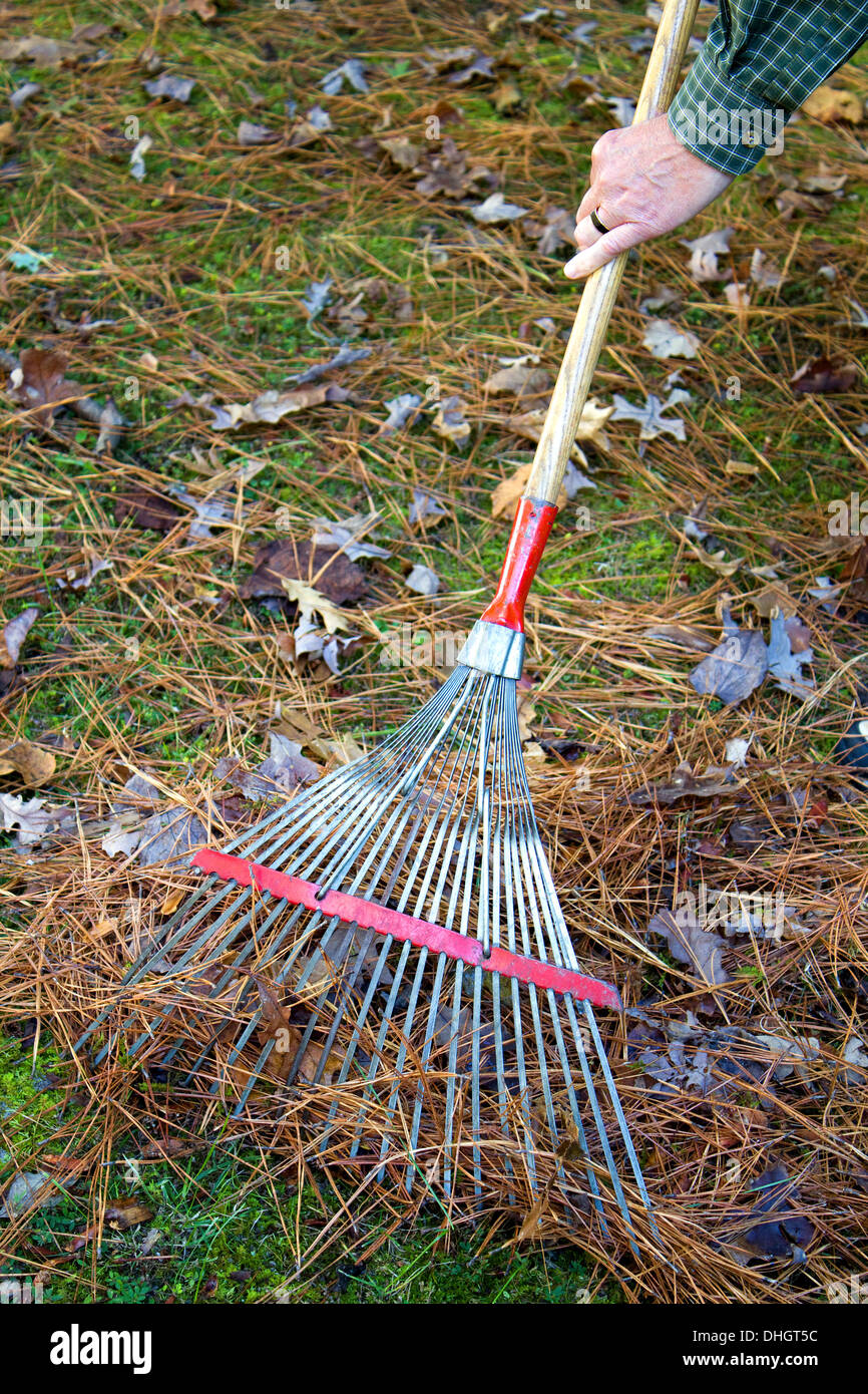 Old Man Raking Grass High Resolution Stock Photography and Images - Alamy