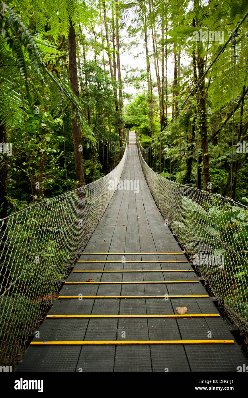 Suspension bridge in the tropical rainforest of Costa Rica Stock Photo ...