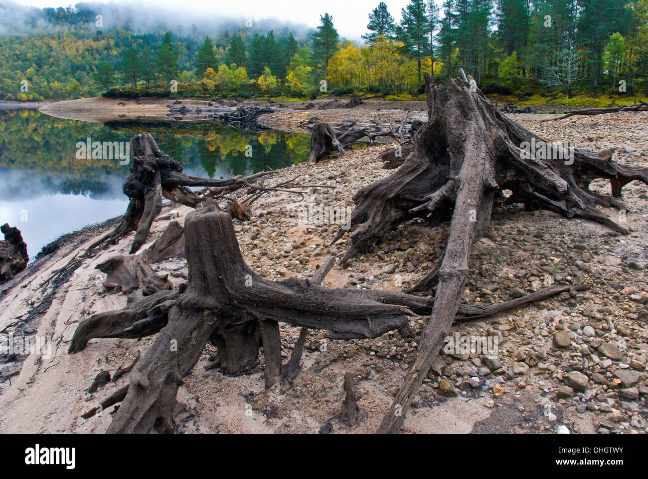 Autumn in Glen Affric, Inverness shire, Scotland Stock Photo - Alamy