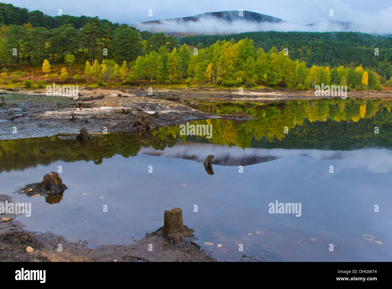 Autumn in Glen Affric, Inverness shire, Scotland Stock Photo - Alamy
