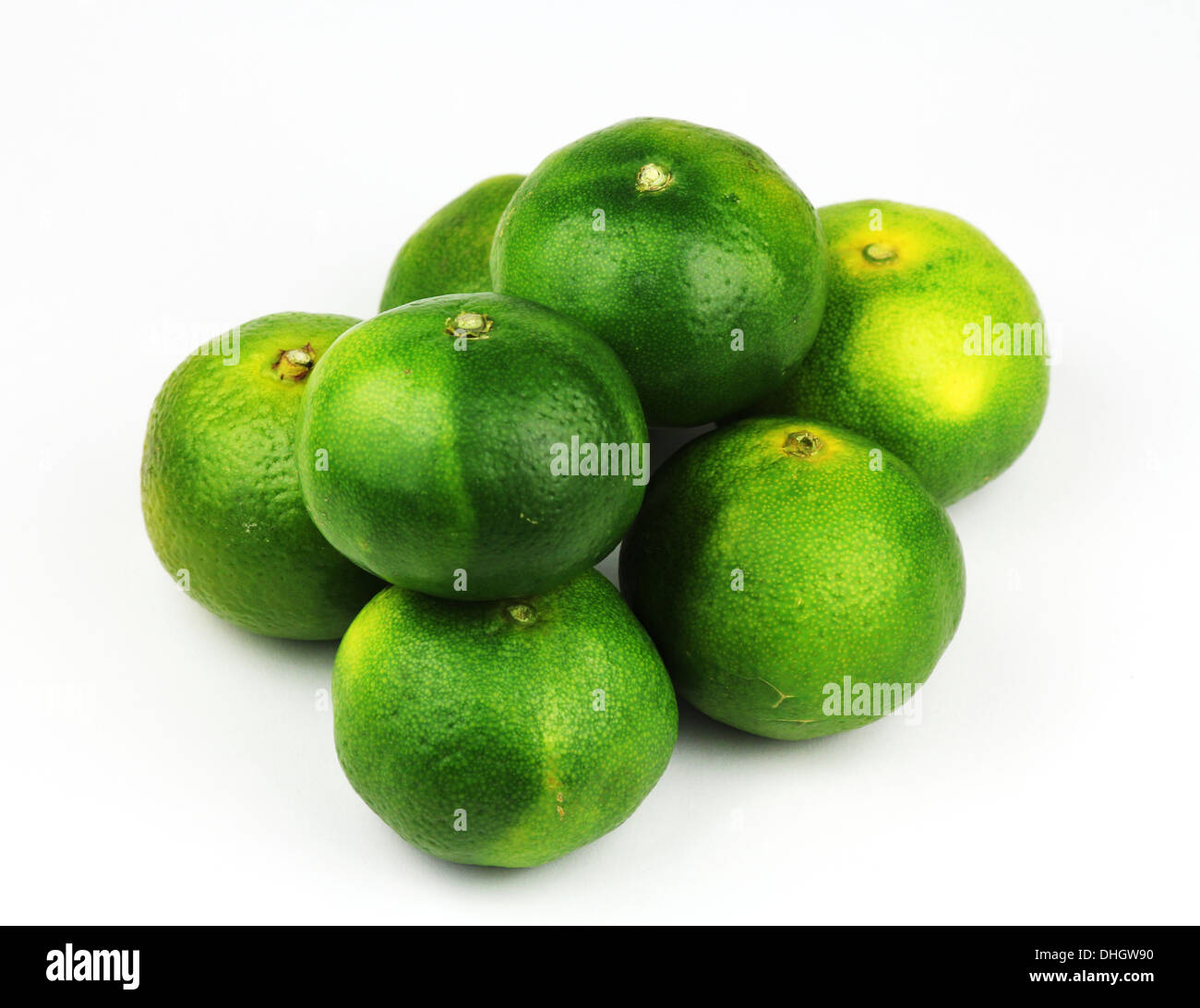 Citrus mandarin tree plant Cut Out Stock Images & Pictures - Alamy