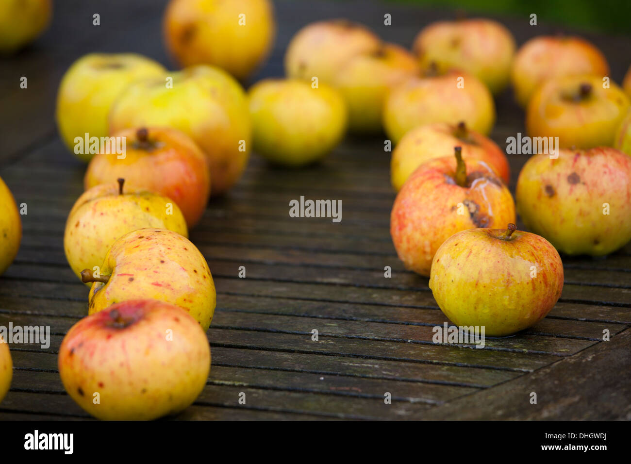 Green cooking apples hi-res stock photography and images - Alamy
