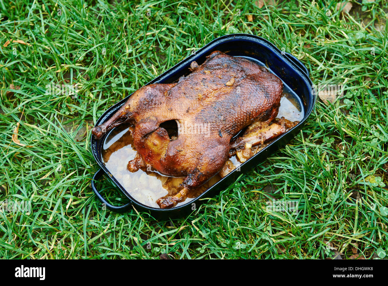Stuffed duck in frying pan lying on green lawn Stock Photo - Alamy