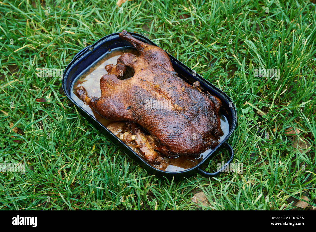 Green pans hi-res stock photography and images - Alamy