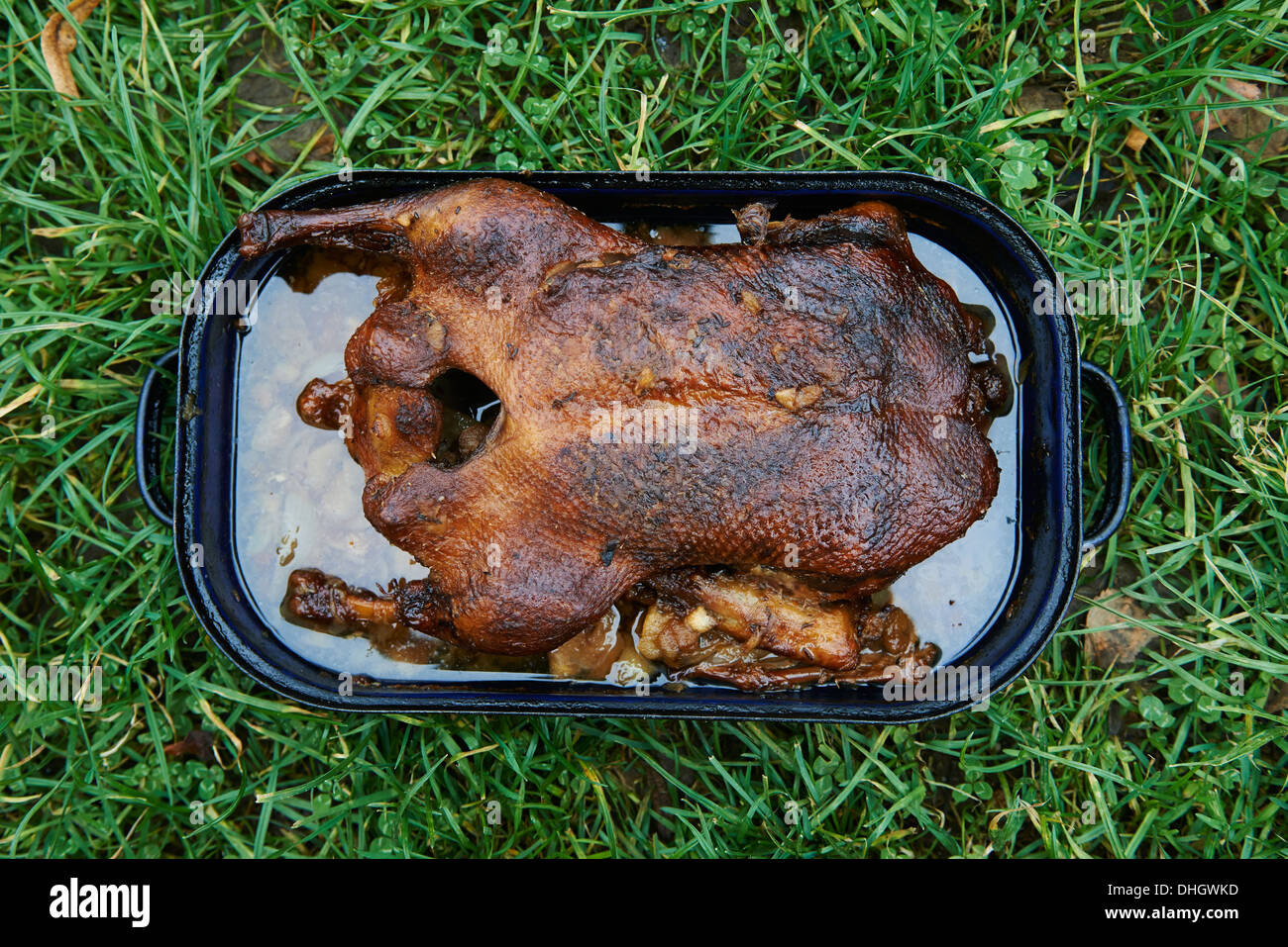 Stuffed duck in frying pan lying on green lawn Stock Photo - Alamy