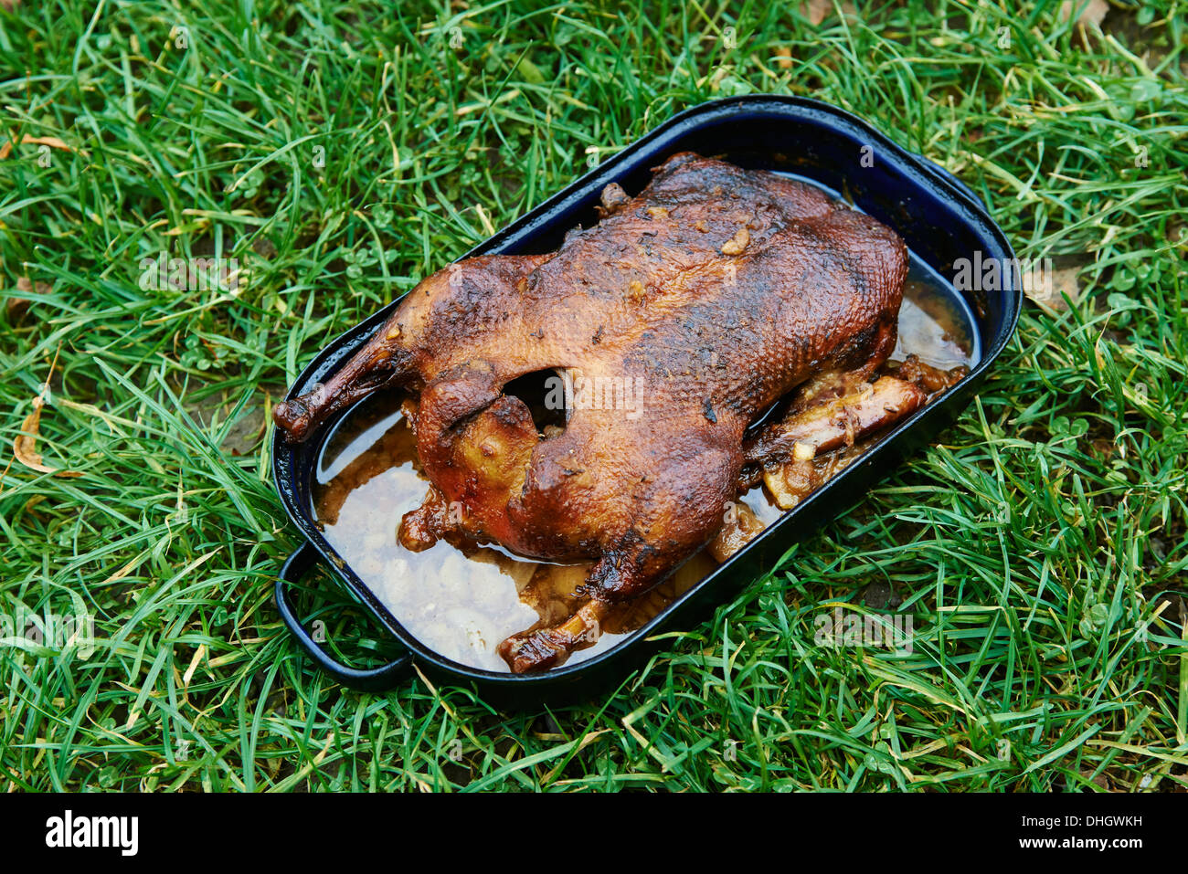 Stuffed duck in frying pan lying on green lawn Stock Photo - Alamy