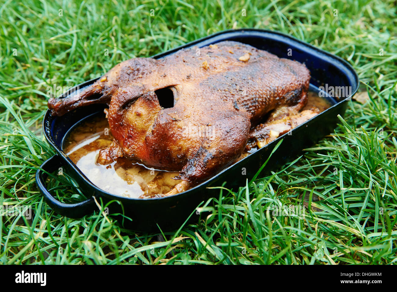 Stuffed duck in frying pan lying on green lawn Stock Photo - Alamy