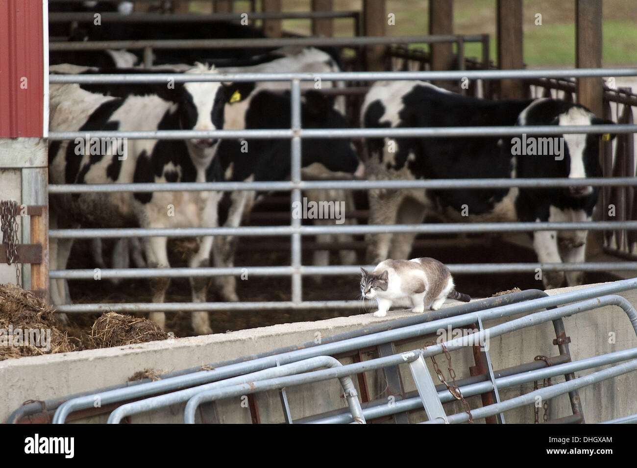 Rives junction hi-res stock photography and images - Alamy