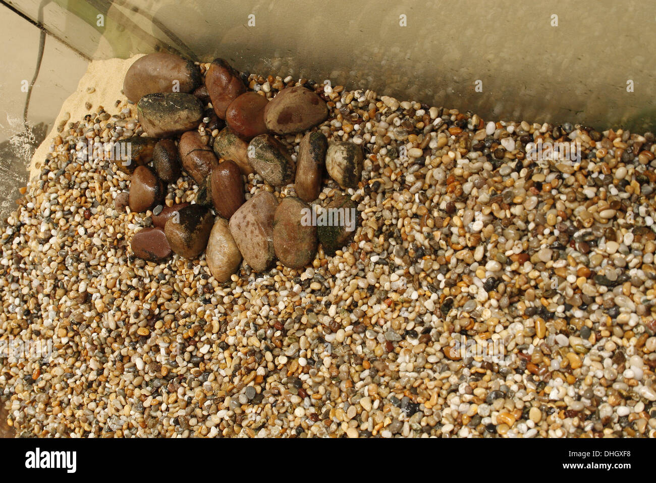 new fish tank being filled with water Stock Photo - Alamy