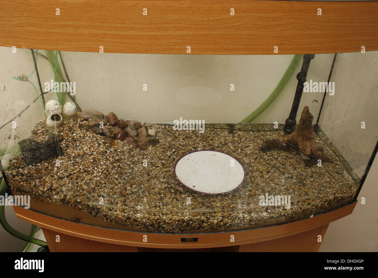 new fish tank being filled with water Stock Photo - Alamy