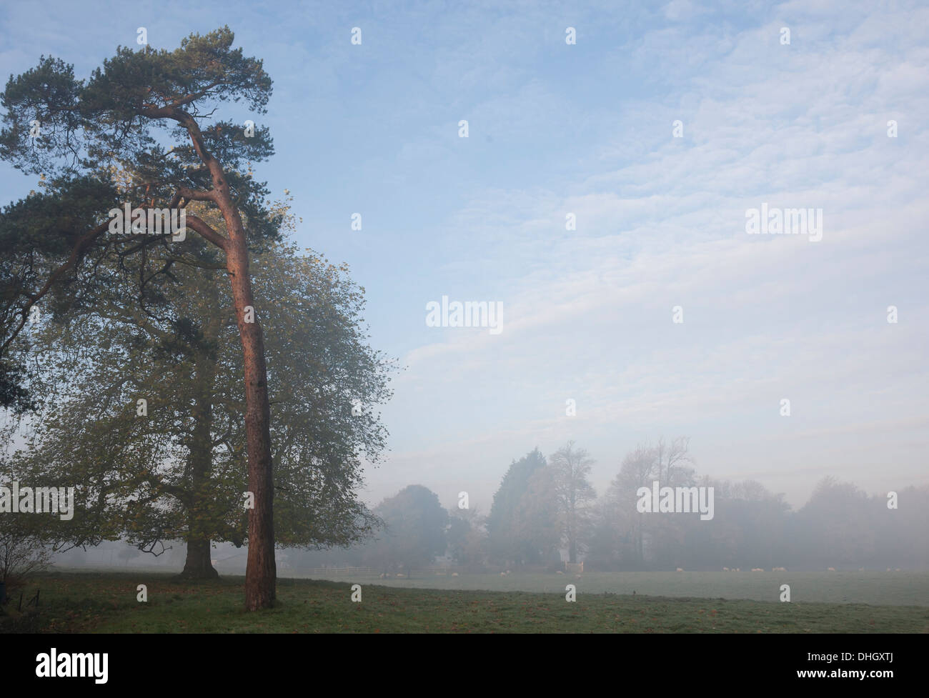 Misty morning rural scene Stock Photo - Alamy