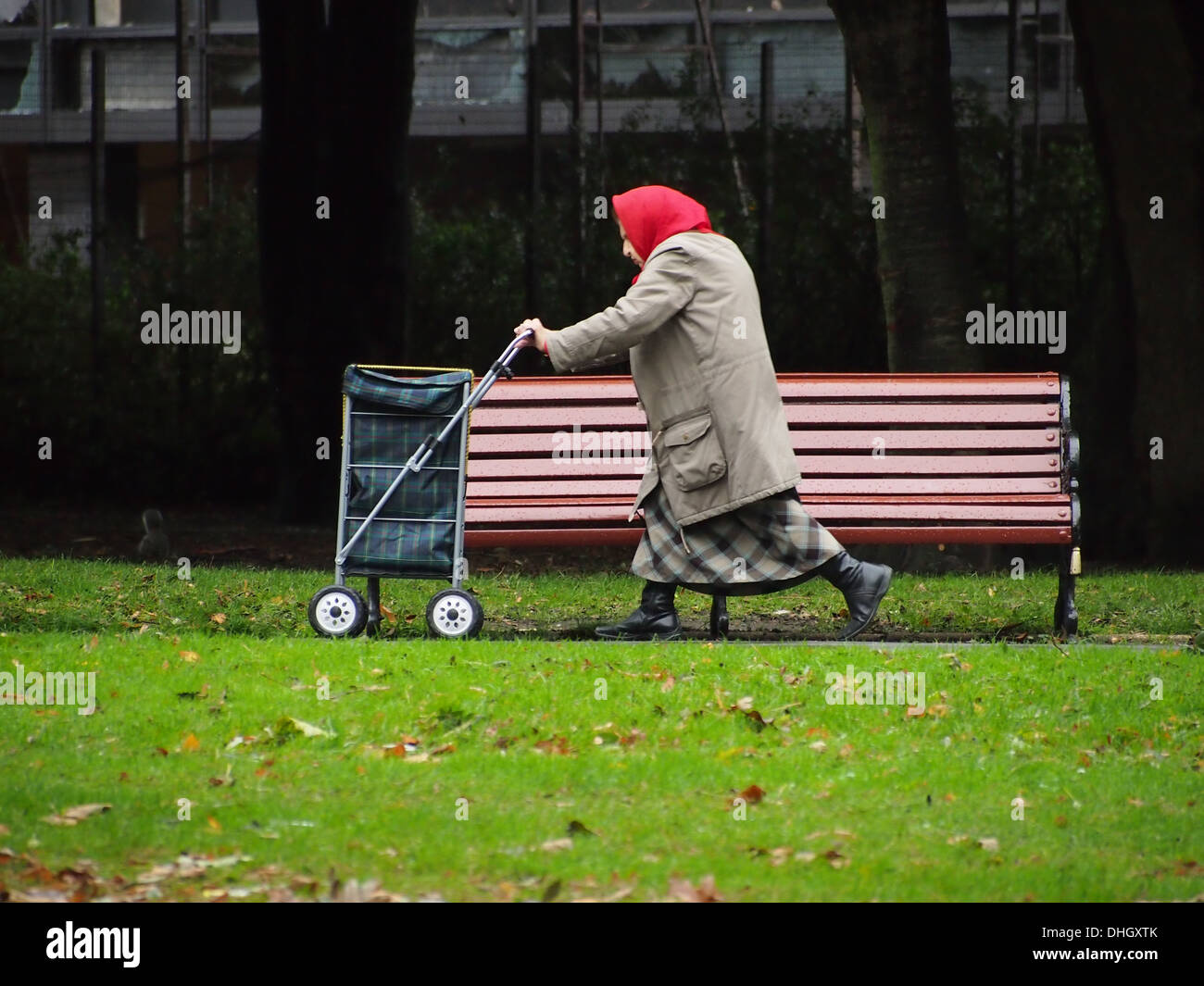 Elderly lady pushing a shopping basket through a park Stock Photo - Alamy